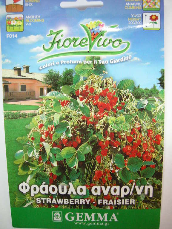 ΦΡΑΟΥΛΑ ΑΝΑΡΡΙΧΩΜΕΝΗ | HAPPY GARDEN